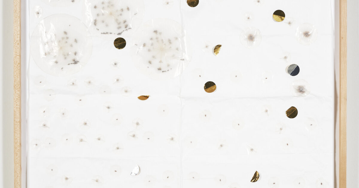 S.M.A.K. Stedelijk Museum voor Actuele Kunst Gent - S.M.A.K. | S.M.A.K.