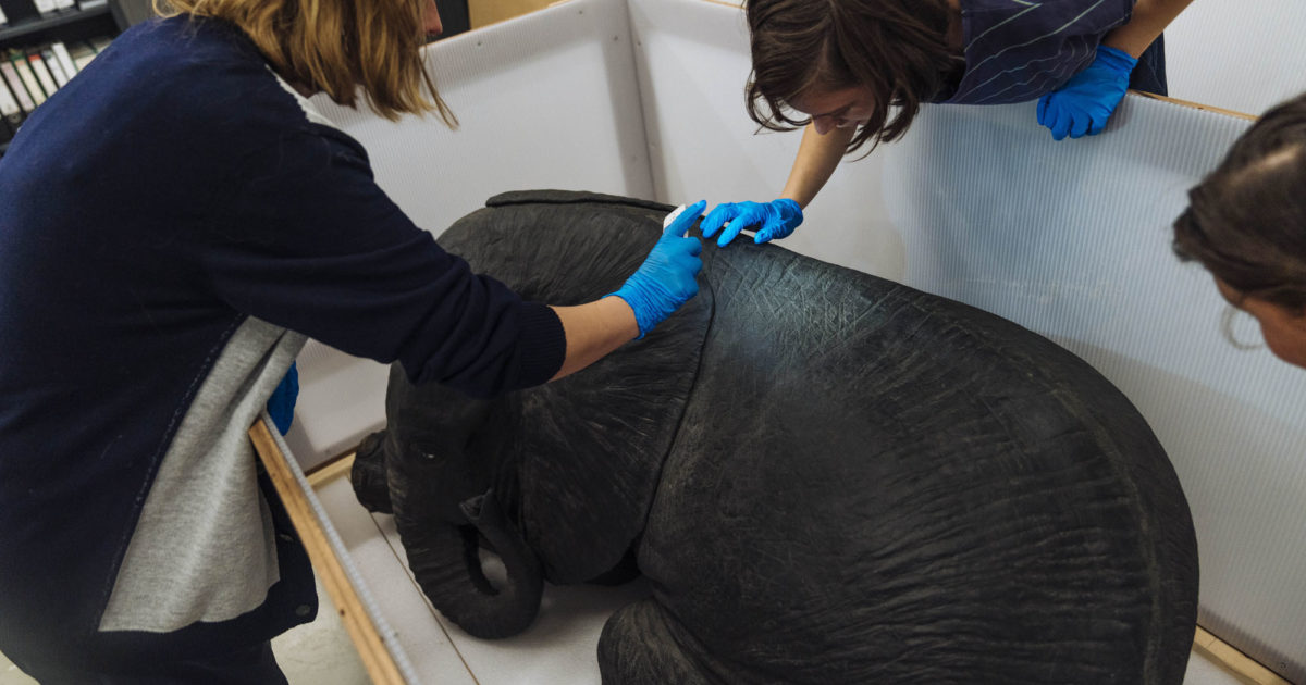 Red de plastics! | S.M.A.K.